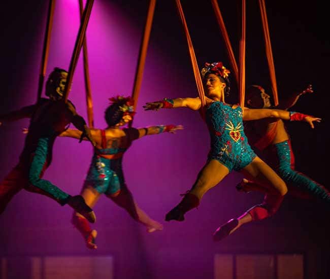 Entertainment Shows in the Riviera Maya | Bahia Principe Hotels