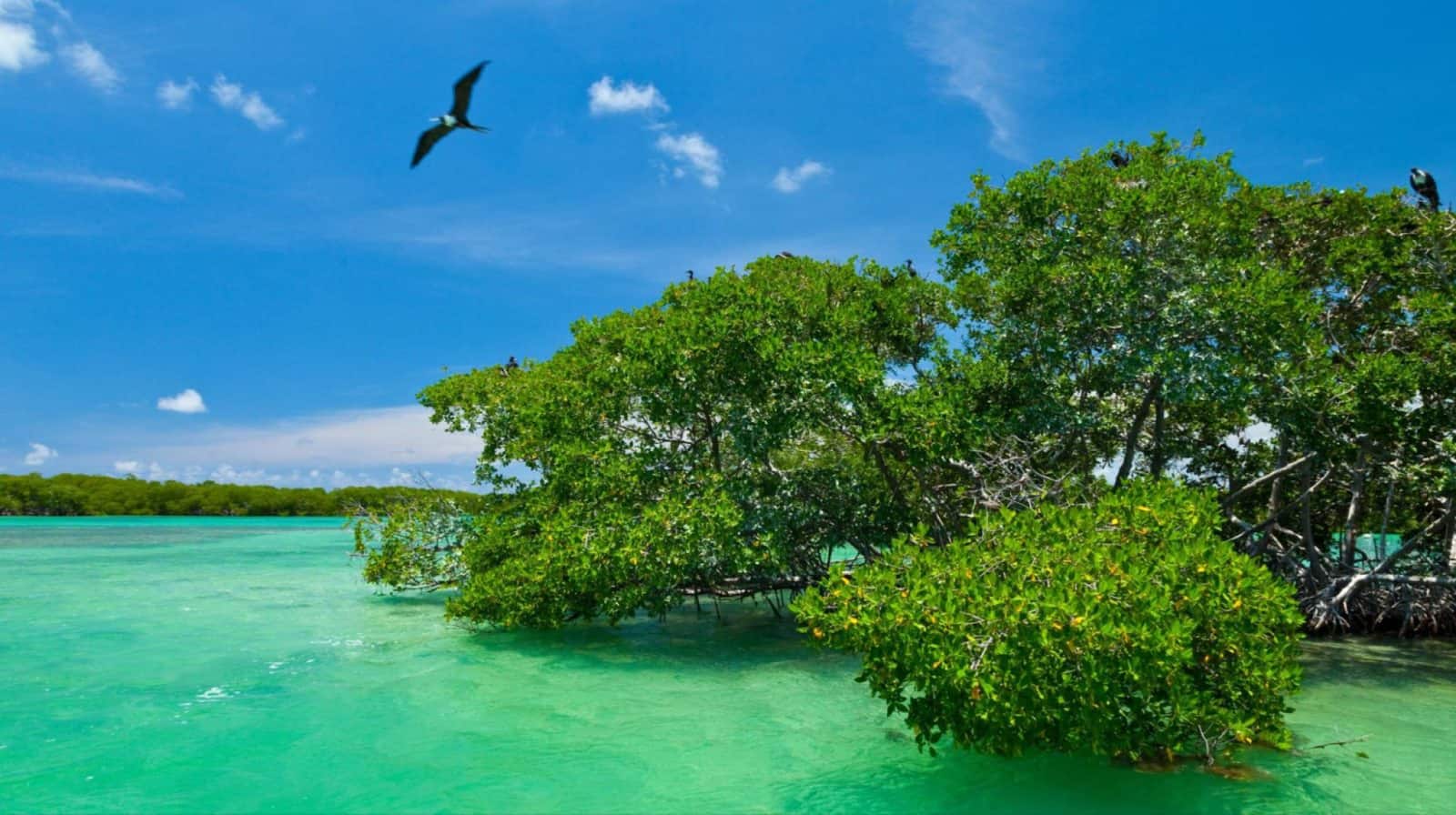 Post-vacation syndrome: return to routine | Bahia Principe