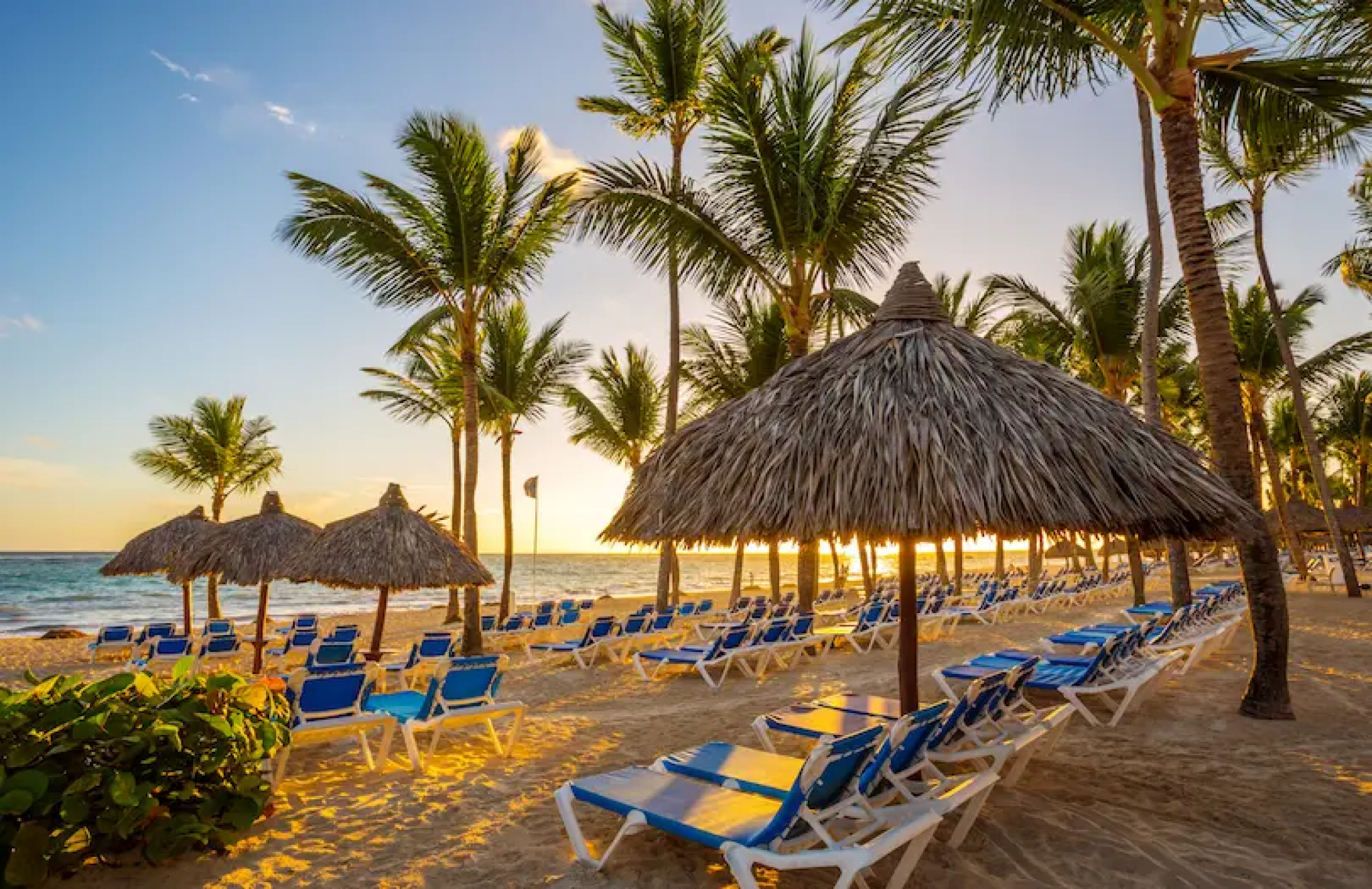 Ecoturismo en República Dominicana | Bahia Principe
